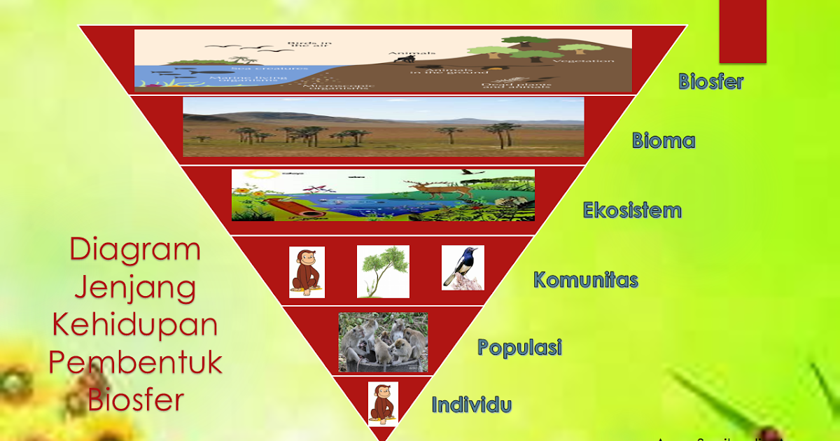 Media Pembelajaran Geografi: Diagram Jenjang Kehidupan Pembentuk Biosfer