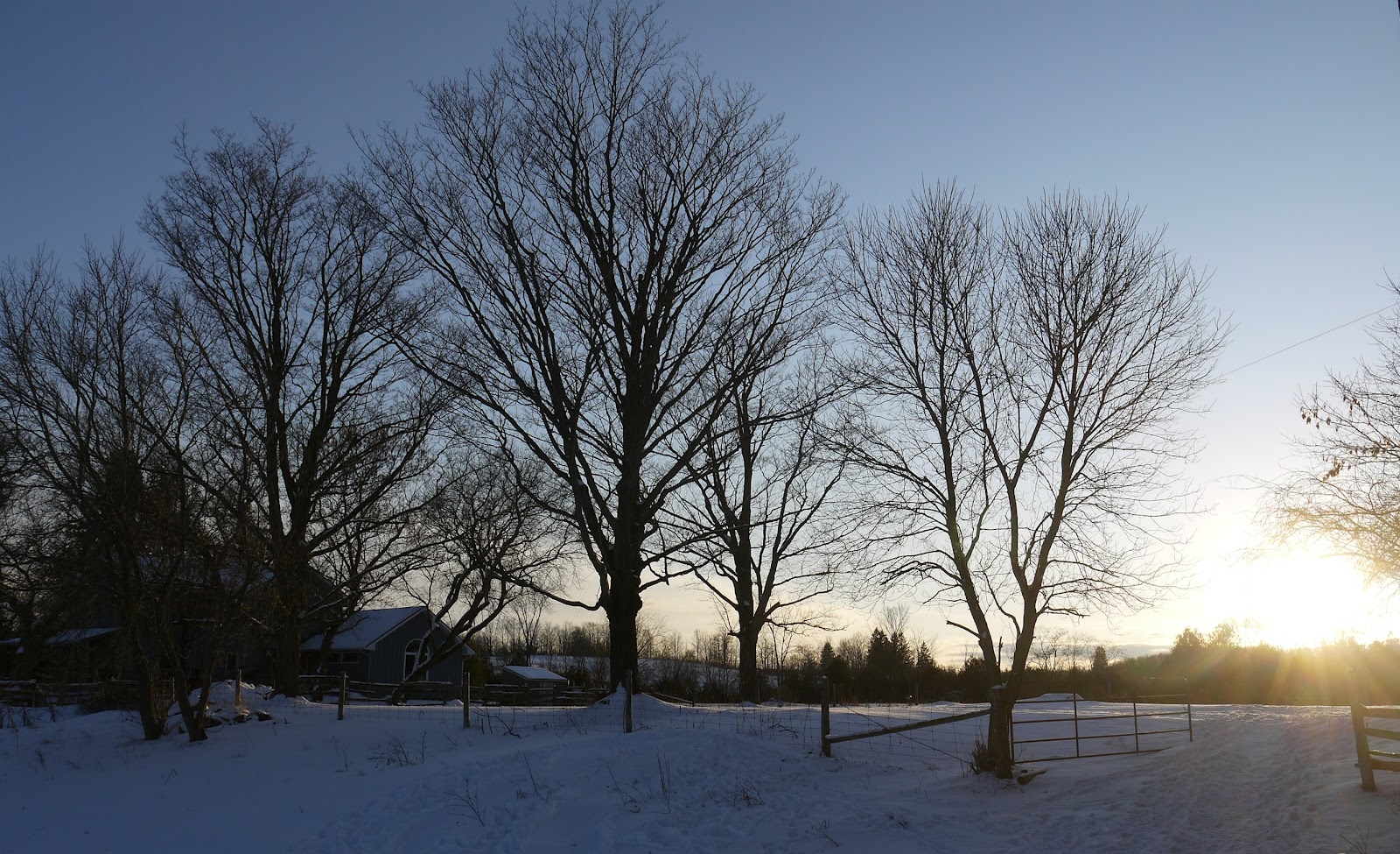 Sense and Simplicity: Farm Obsessed