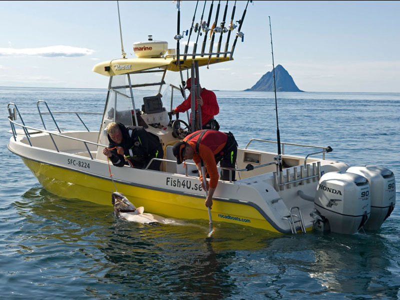 Per Jonasson Sport fishing guide - FISH4U.SE: Rocad 706 SP 4SALE