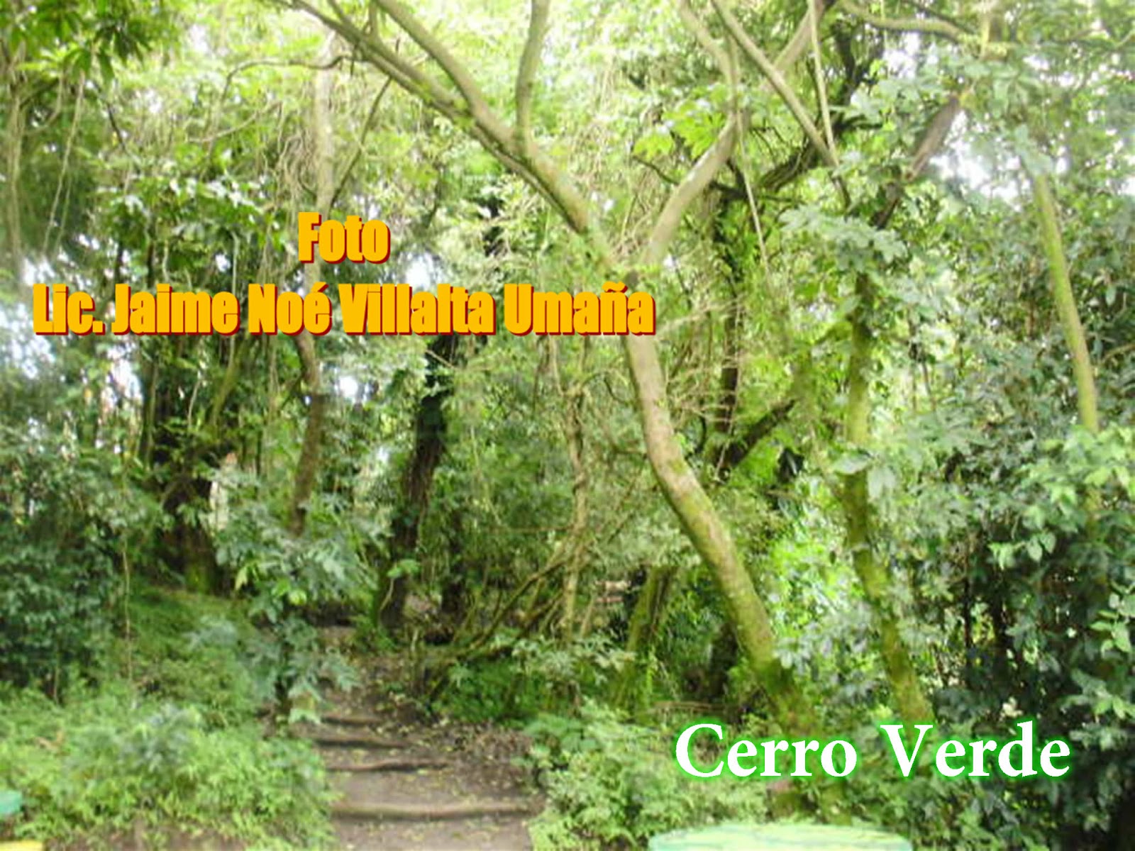 SV: Cerro Verde