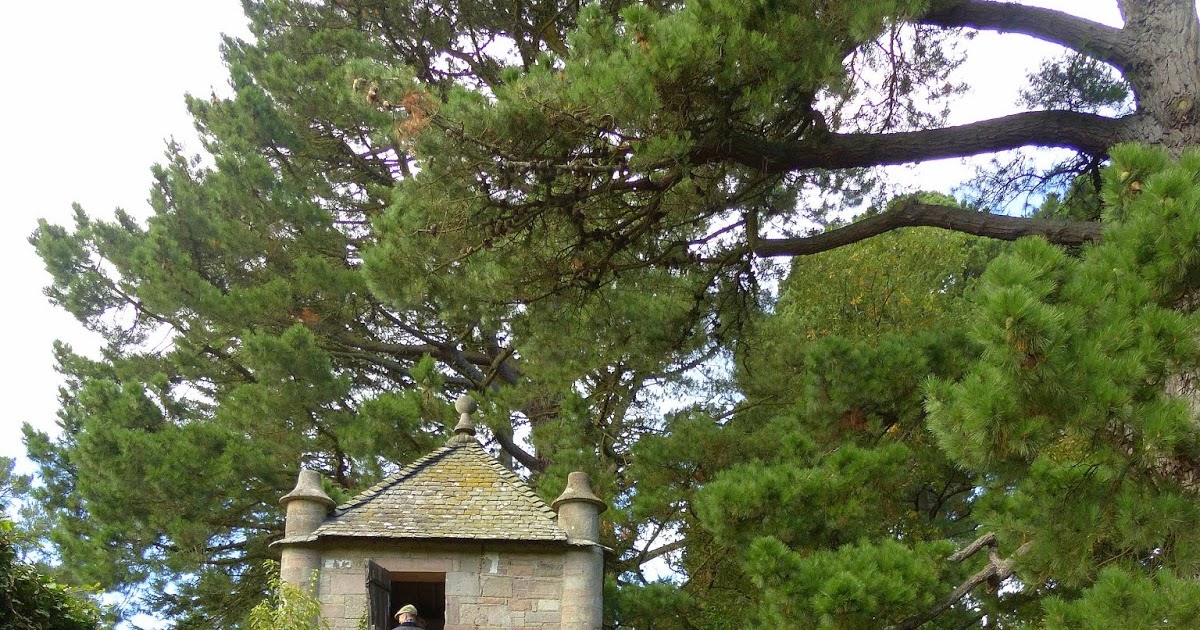 Birding For Pleasure: Walk with Neil Porteous at Mount Stewart Gardens ...