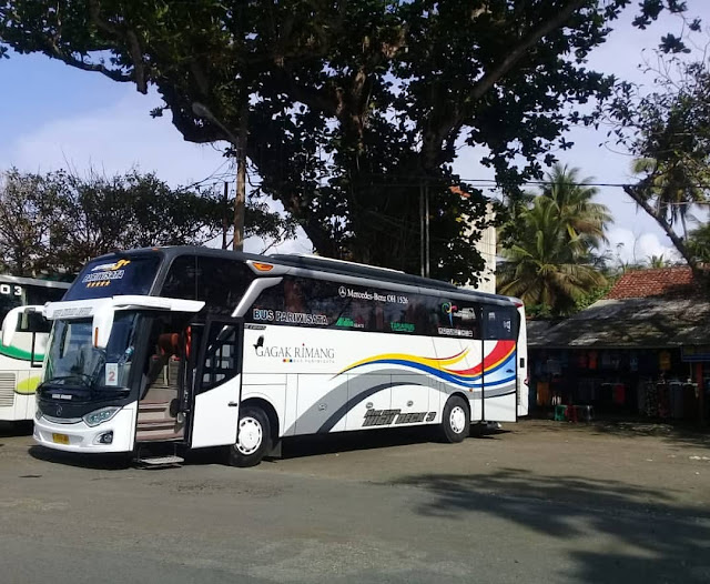 Bus Pariwisata - daltrans travel