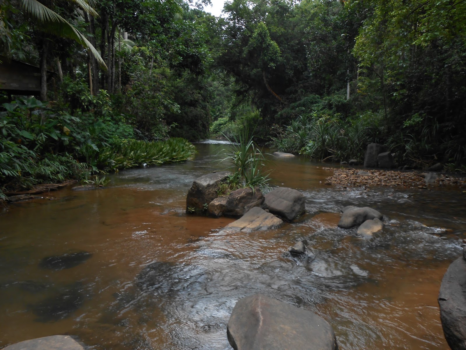 Simple Travels: Kaluthara-Baduraliya – 01 – Pahiyangala & Athwalthota ...