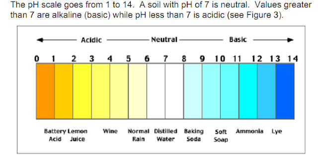 Praktikum Lapangan Tekstur, Kandungan Mineral, Horizon, pH, Komposisi ...
