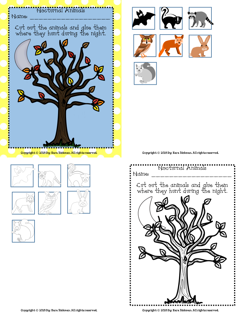 Create Your Balance With Literacy