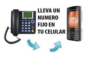 Chip con n° telefonico Fijo
