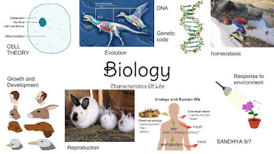 Sandhya's Brilliant Biology Blog: What Is Biology Collage
