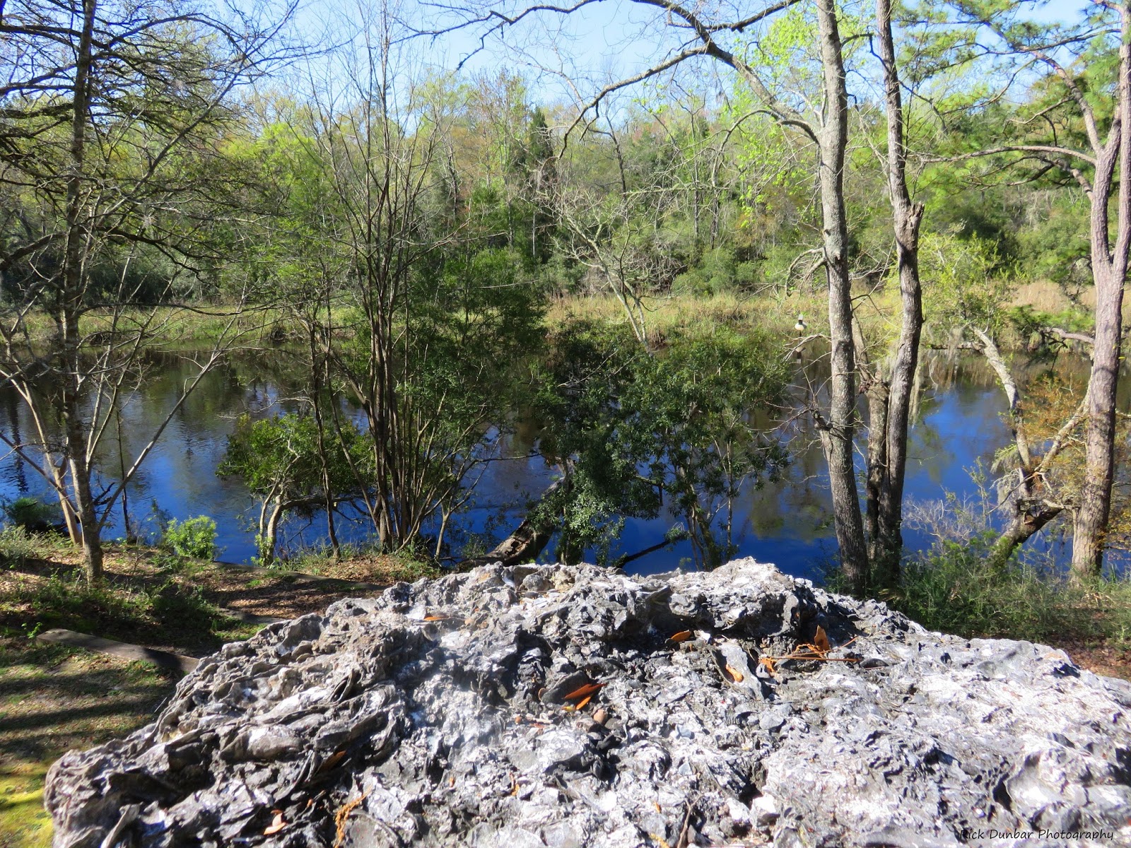 Vacation Rick: The Extraordinary Ashley River Corridor--22 miles of ...