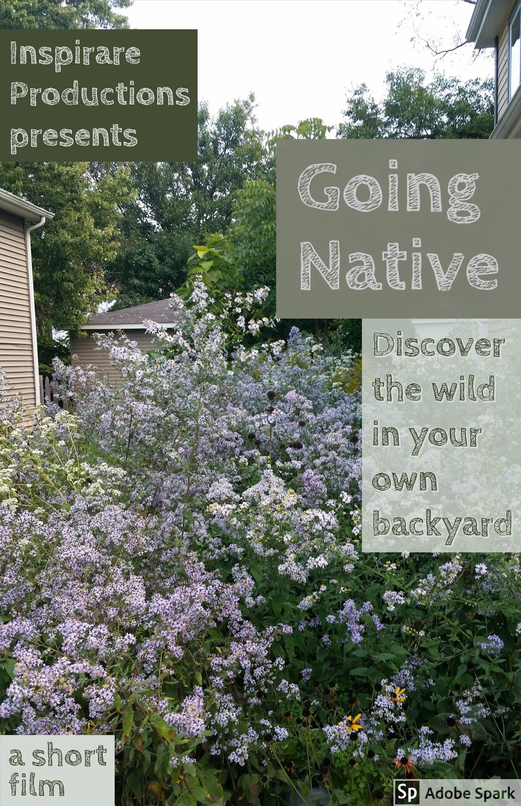 Psyche's Cinema - Short films. : Going Native -- an OFFICIAL SELECTION ...