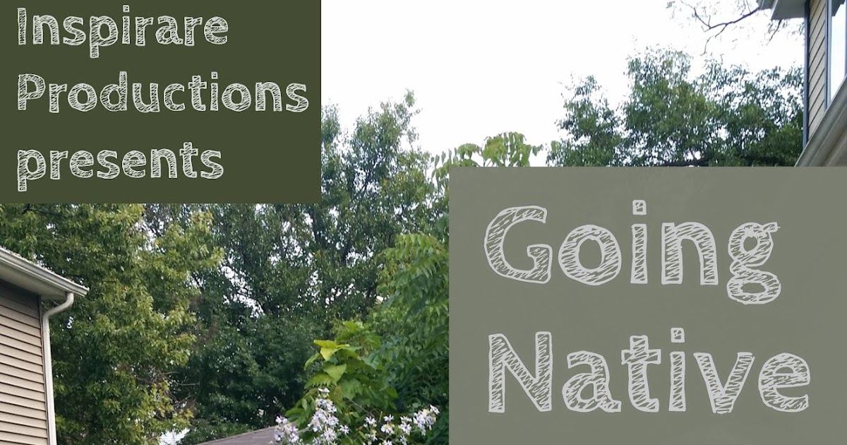 Psyche's Cinema - Short films. : Going Native -- an OFFICIAL SELECTION ...