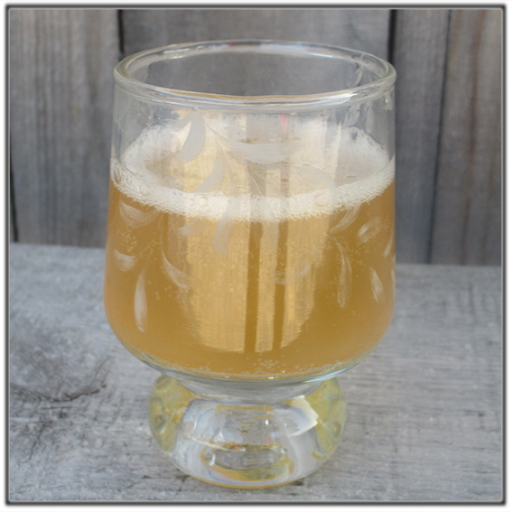 Gör egen kombucha! Scoby svamp till salu, skickas med vanlig post på 1 ...