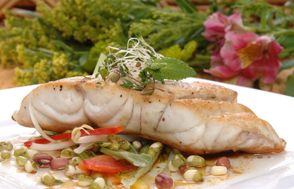 Information about Grouper Fish FarmingMethod