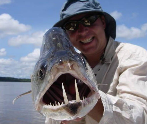 Big Fishes of the World: PAYARA (Hydrolycus spp.)