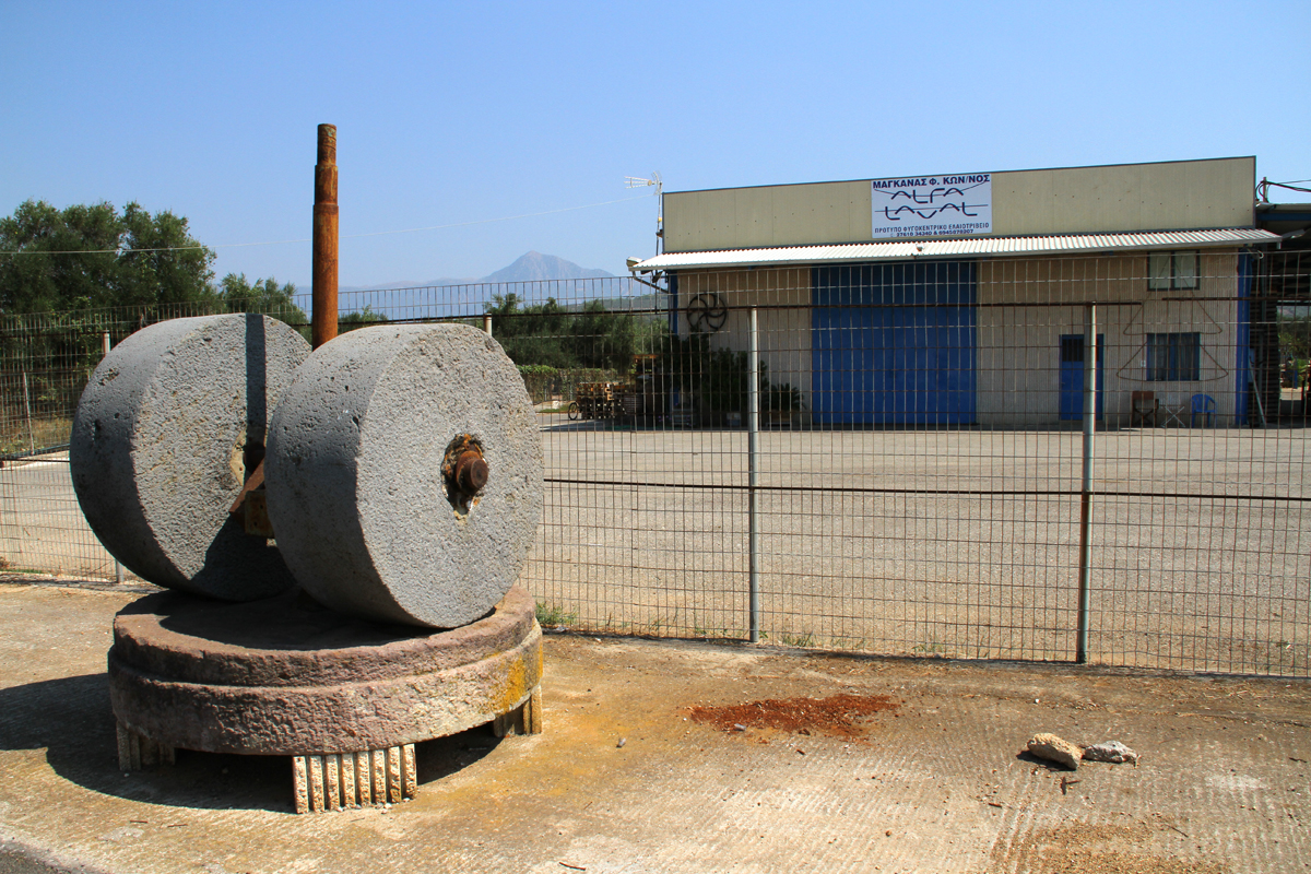 Antiguos OLIVOS del Mediterráneo : GREECE. ELLADA. MESSINIA. METHONI ...