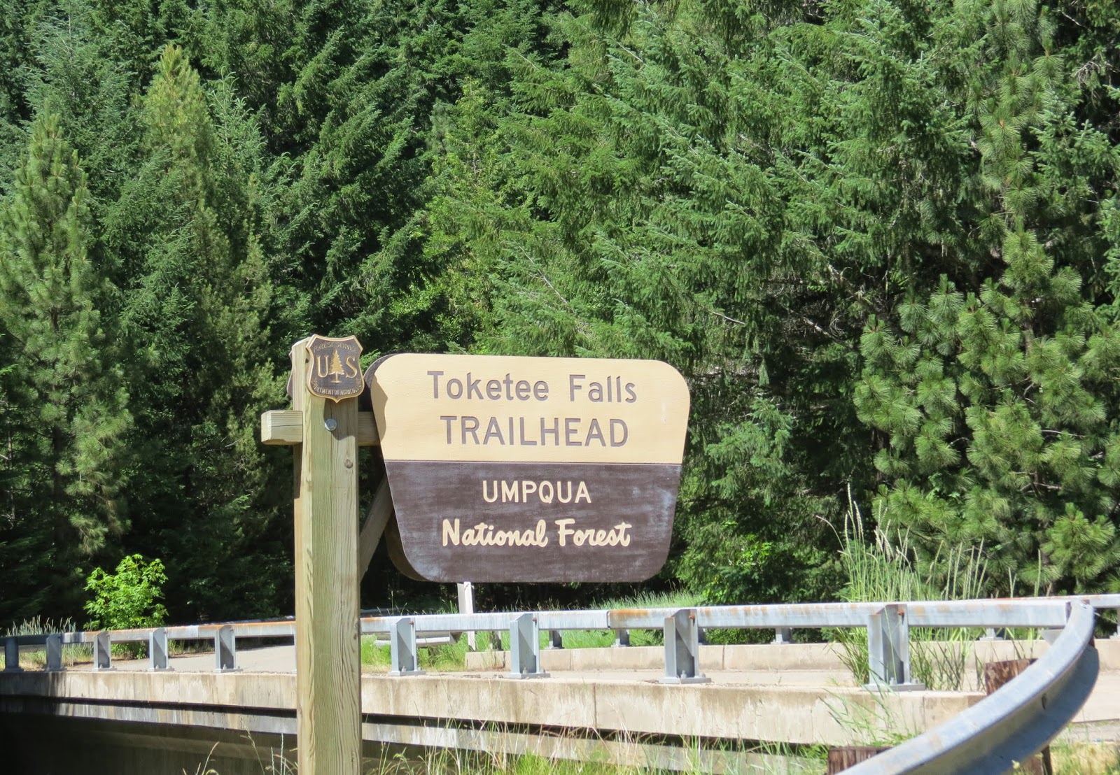 Where's Liz? 2014: Toketee Campground, Umpqua National Forest, Oregon