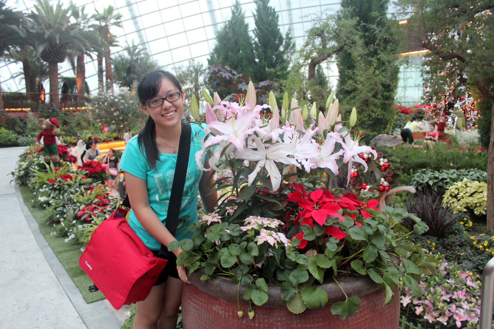 P for Phyllis: Gardens by the Bay @ Singapore
