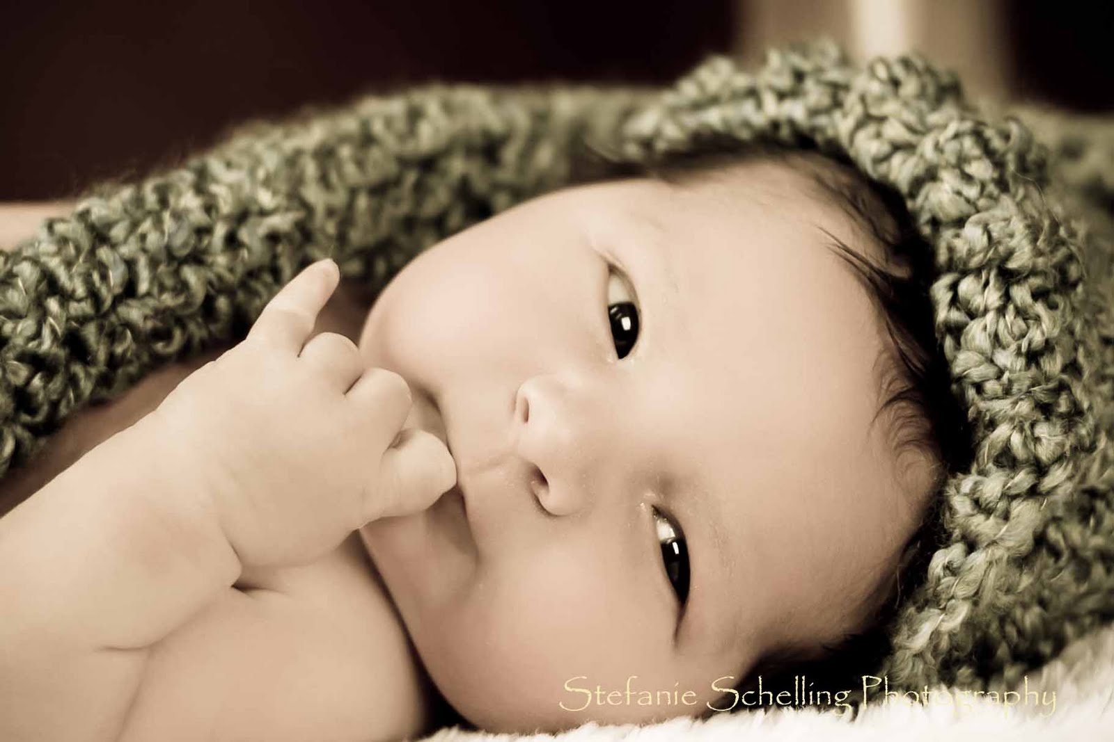 Stefanie Schelling Photography: 6 days old Baby "B"- {Kalispell Newborn ...
