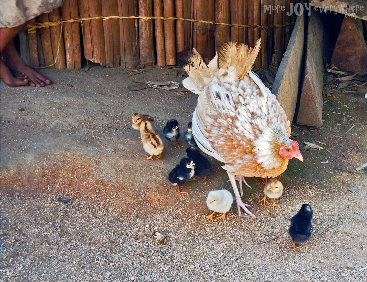more JOY everywhere!: Taking Pictures of "The Natives"