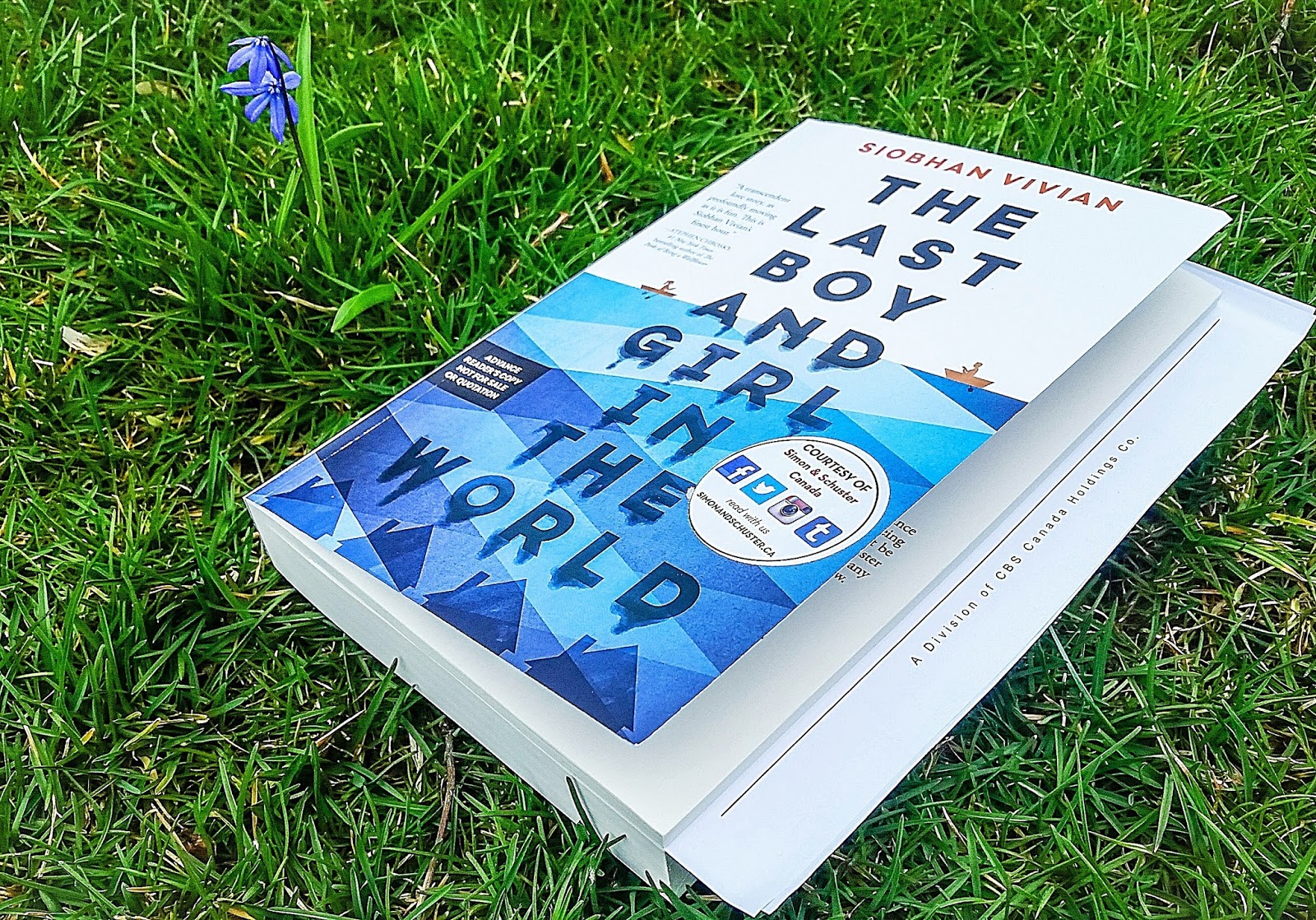 This is the Story of My(Reading) Life: Review: The Last Boy and Girl in ...