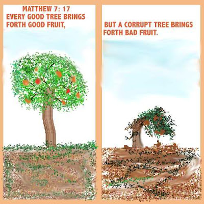 LOVE=Faith+Hope: Do Christians Sin? By their Fruits you shall know them