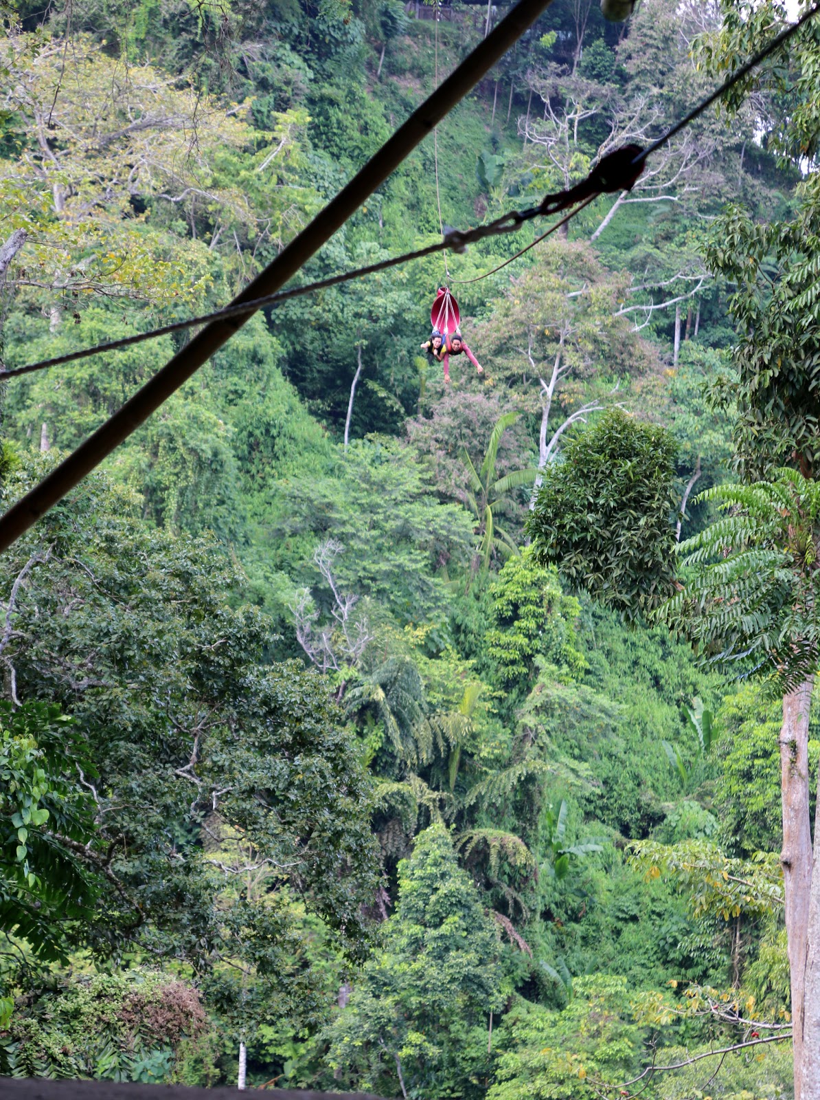 Zipline in Seven Falls, Lake Sebu