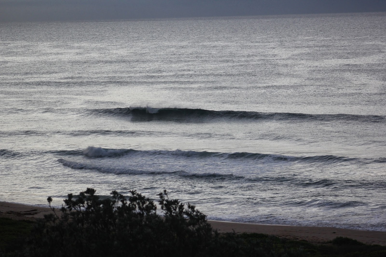 Shelly Beach Surf Report