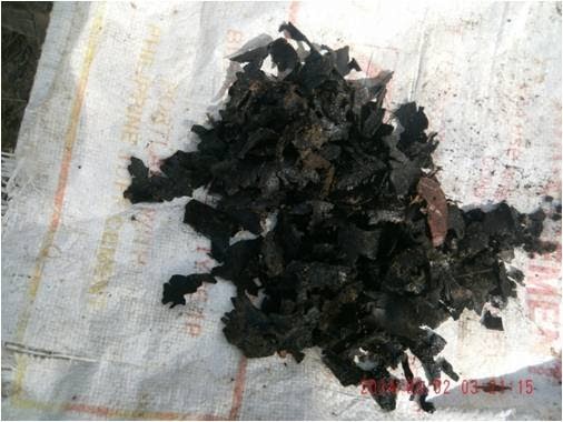 LIVELIHOOD IN BULAN,SORSOGON: CHARCOAL (The Making Of “Uling”)