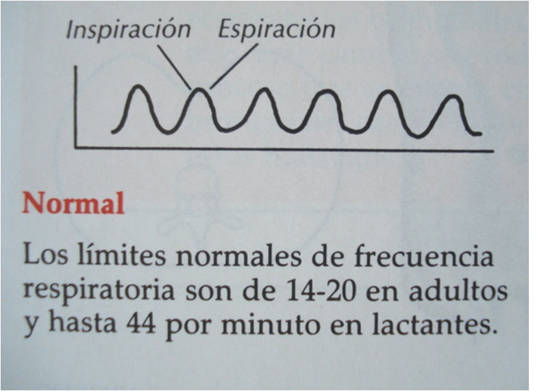 Dra Gisette Tejada: Observación de los movimientos respiratorios: