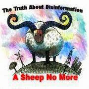 A Sheep No More : Five Reasons Why I’ll Never Get a Flu Shot