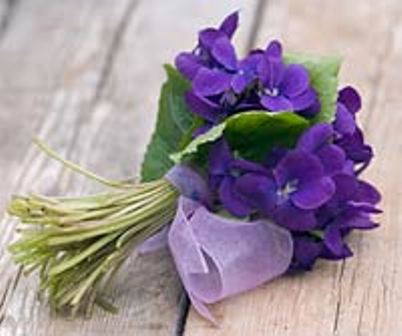 pear tree log: Violets, Lambs, and Lily of the Valley