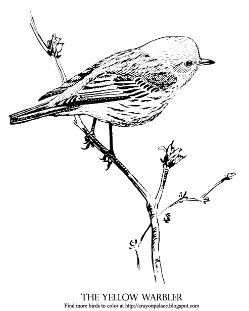Crayon Palace: A Yellow Warbler for coloring
