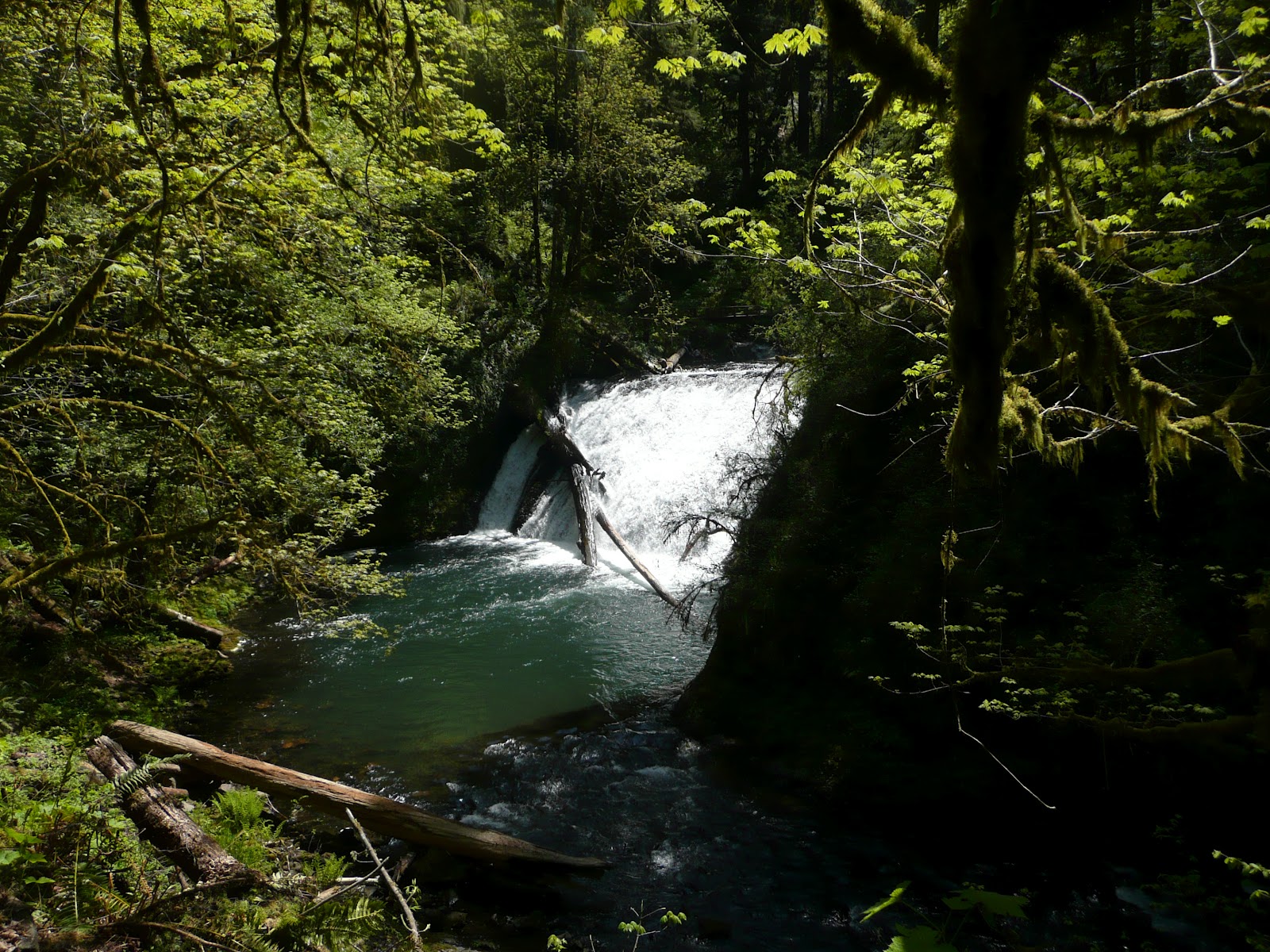 Hiking Oregon: Silver Falls: Trail of 10 Falls