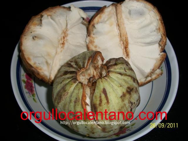 Soy de Tierra Caliente: Frutas - Olores, sabores y colores de Tierra ...