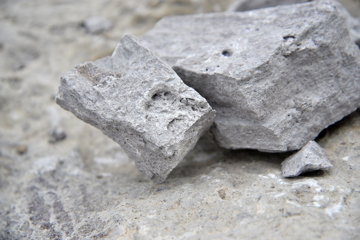 A school of fish: Topaz Mountain Field Trip