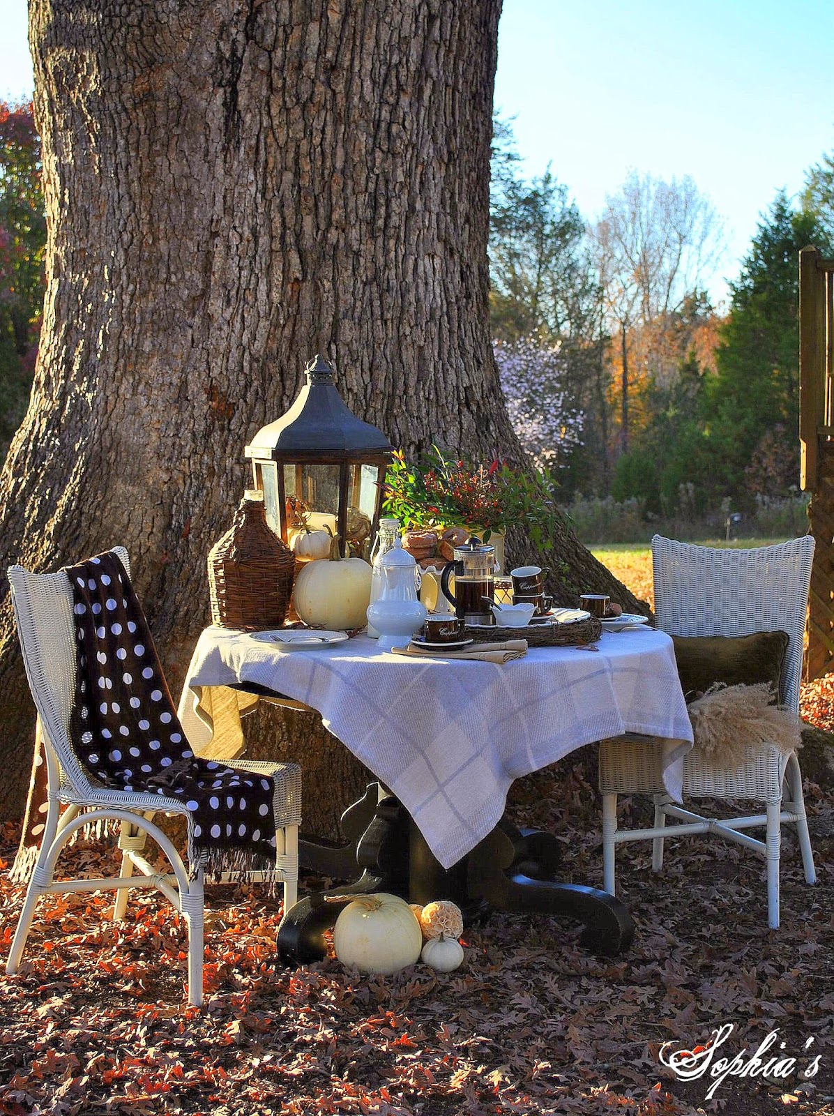 Sophia's: Autumn Breakfast Under the Old Oak Tree - Creating a Fall ...