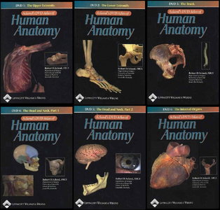 Medical Library: Acland’s Atlas of Human Anatomy, DVD 6: The Internal ...