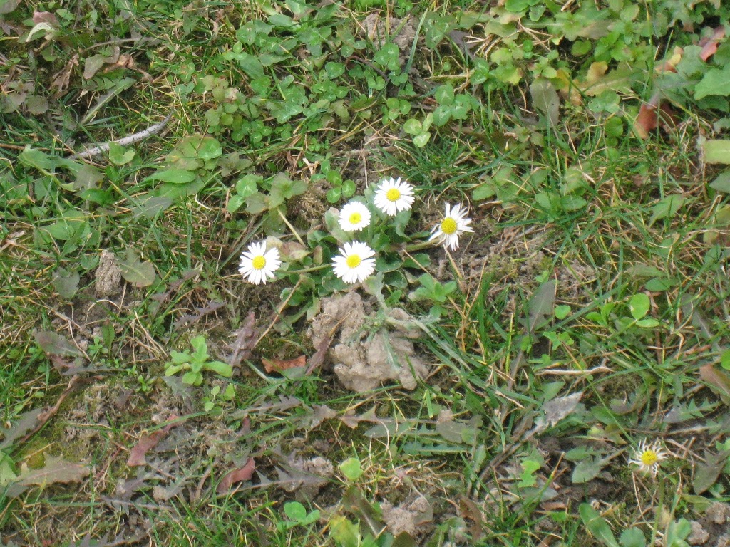 PARKIC: Banjaluka, sredinom januara 2014