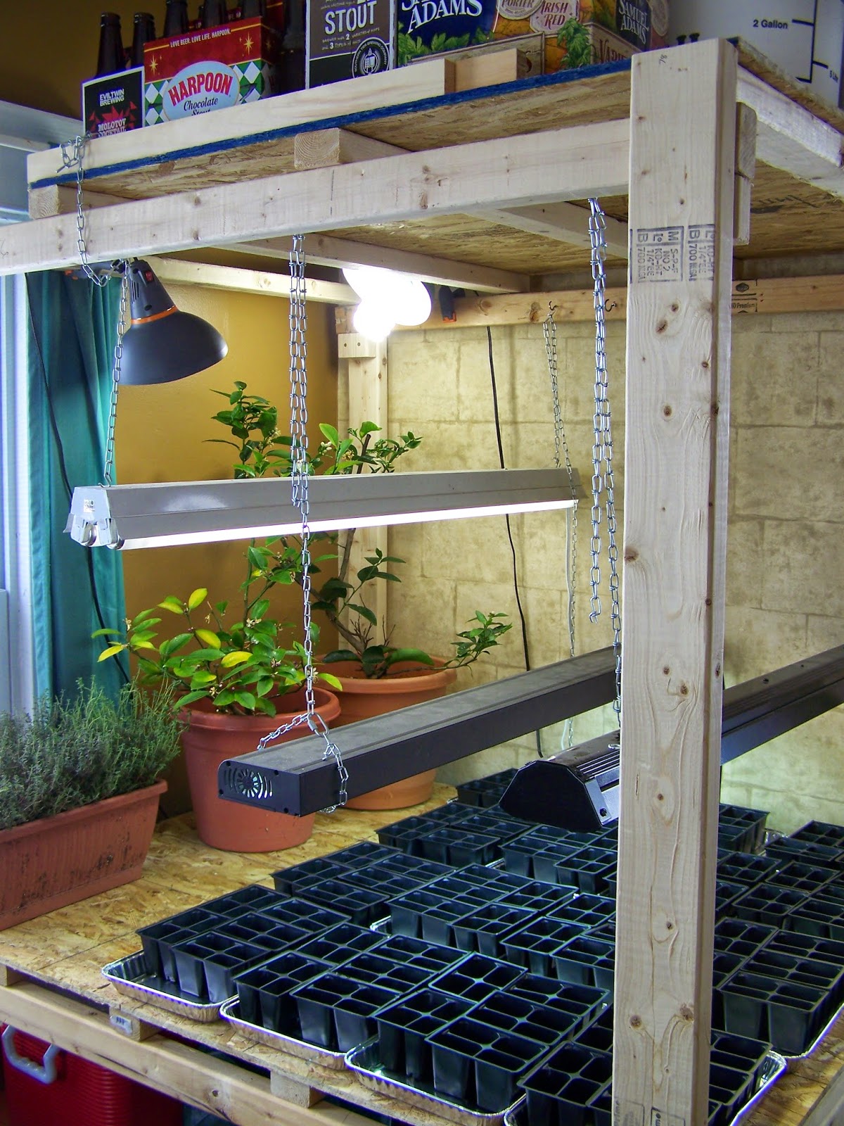 Captive Roots: The Ultimate Seeding Table