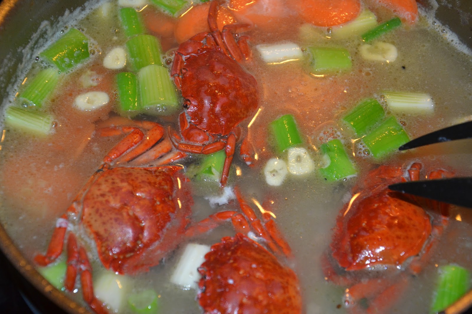 Oppdag Fisk!: strandkrabbe/green crab/carcinus maenas