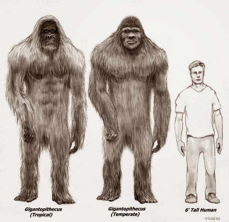 Mawas ... mitos atau kebenaran?