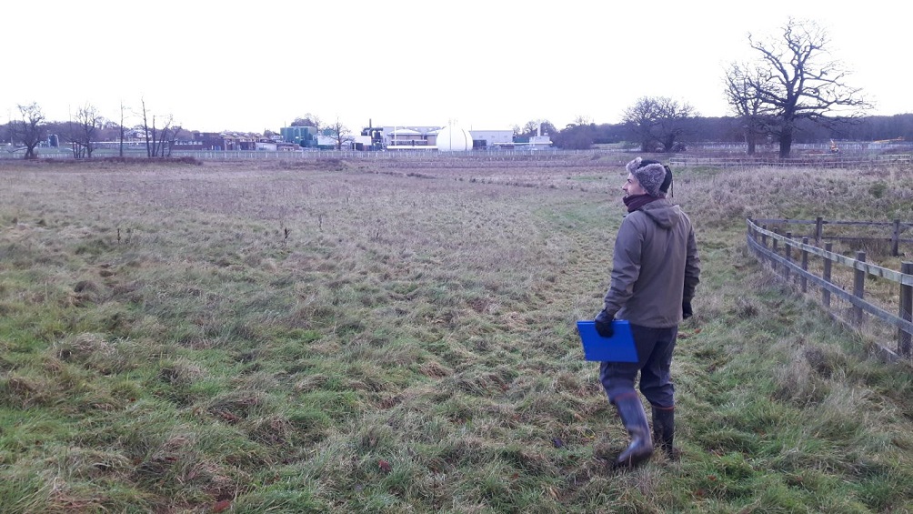 Biodiversity Gatwick: 2017