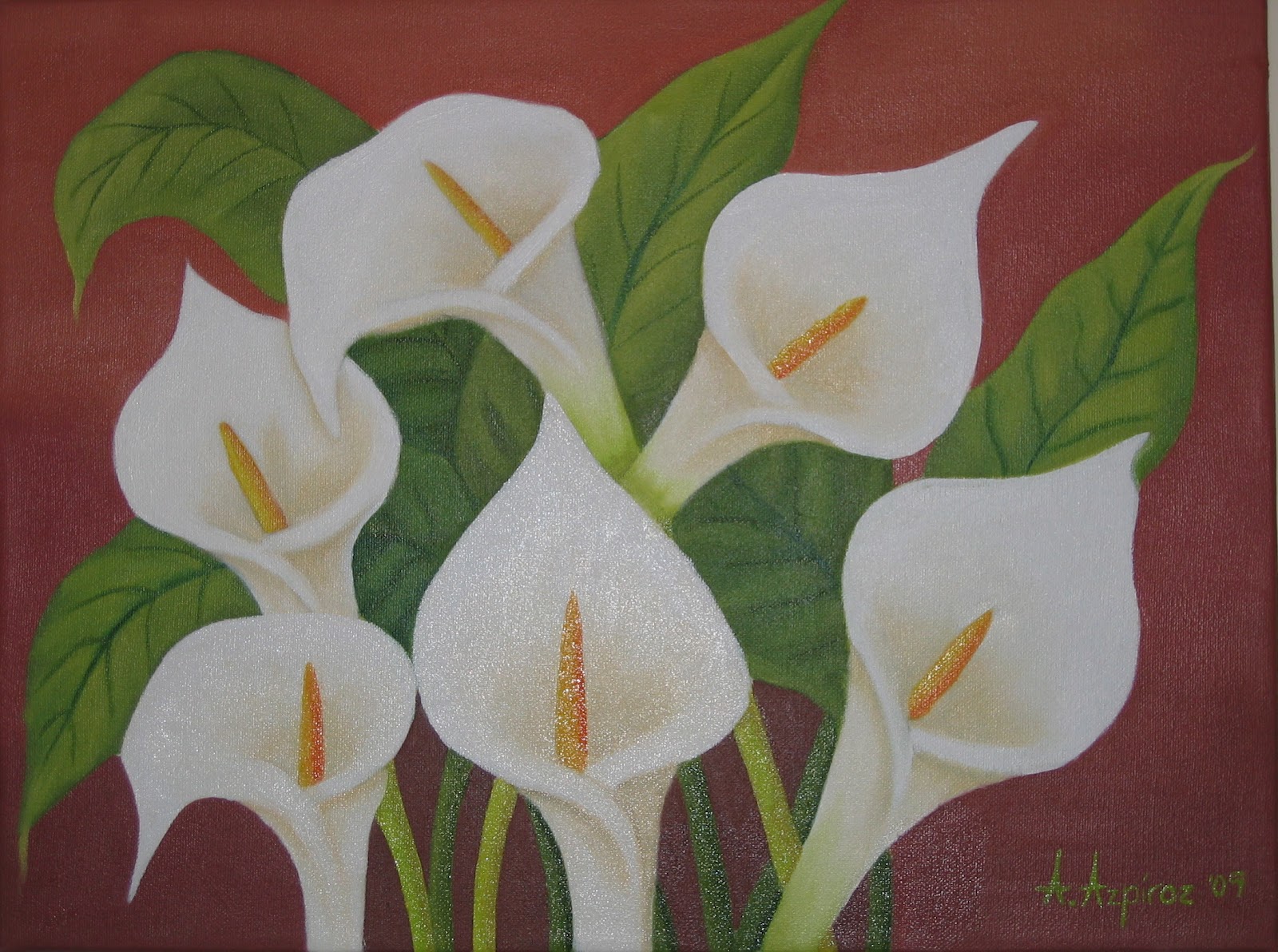 Alcatraces al oleo - Imagui