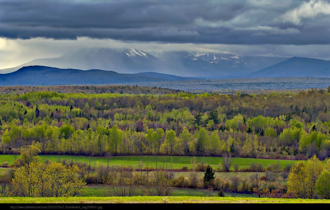 Renée Finberg ' TELLS ALL ' in her blog of her Adventures in Design ...