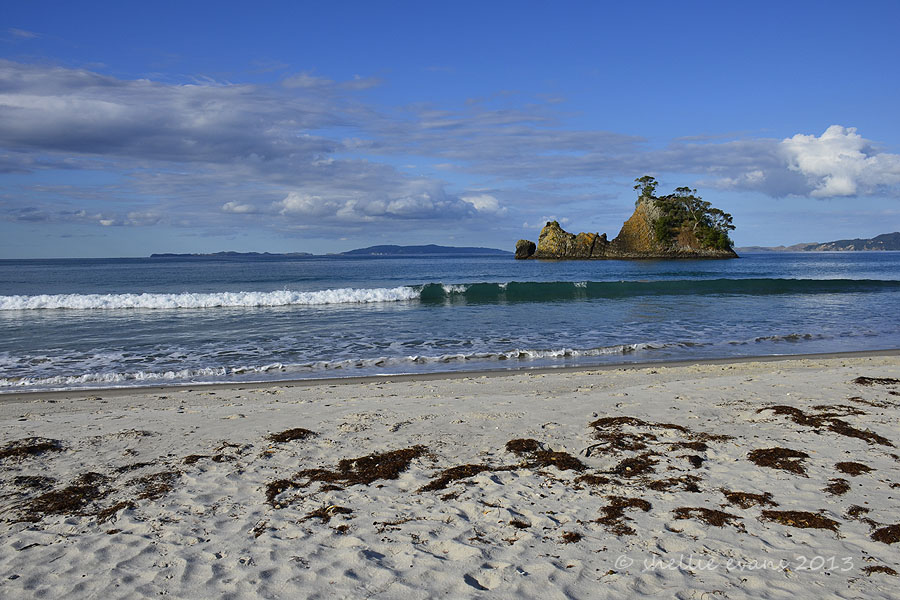 Two Go Tiki Touring: Whangapoua & the Singing Sand