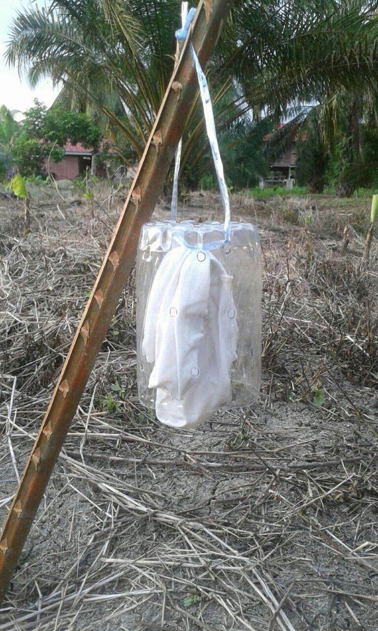 KERIMO: Apa itu KERIMO?