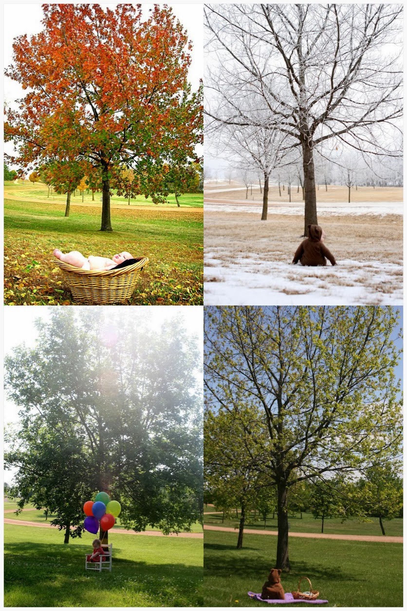 jennifer cho salaff: How to survive (yet another) winter storm