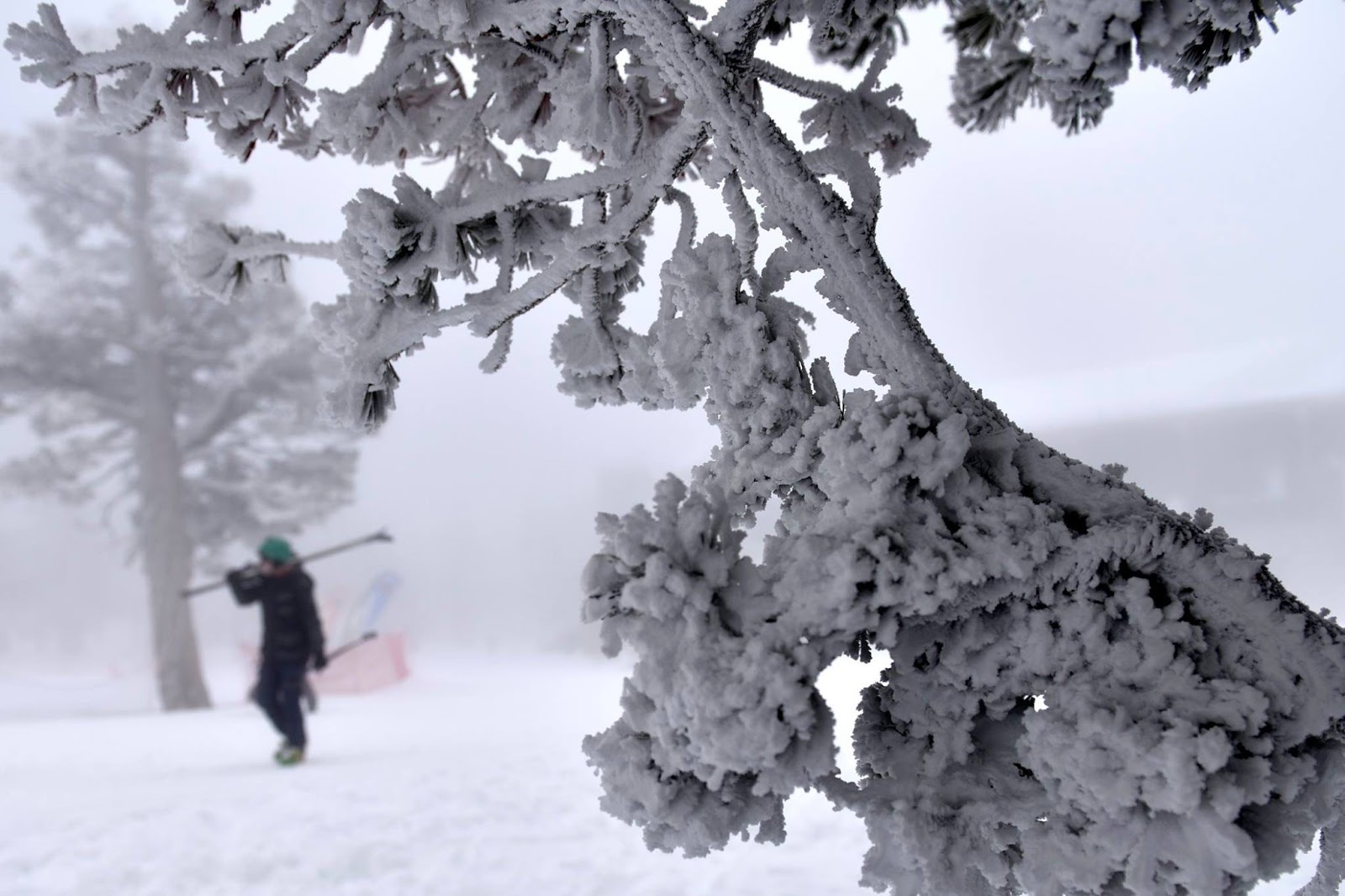 Outside Adventure to the Max: SNOW & FLOW