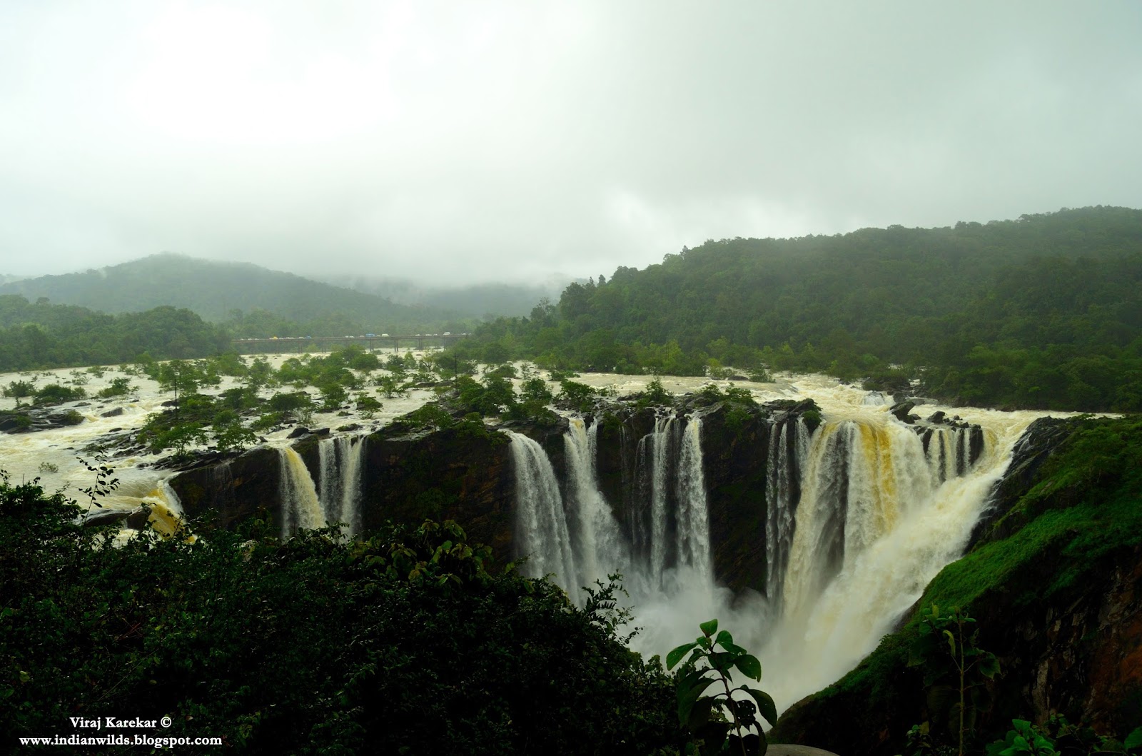 Viraj Karekar's Nature and Wildlife Photography: A view at Honnavar ...