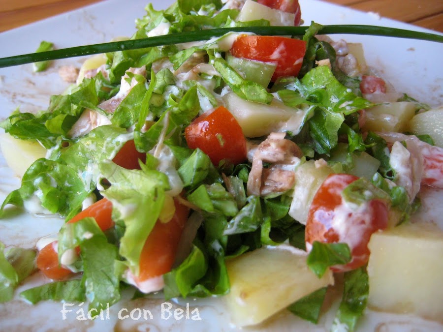 Ensaladas, las mejores recetas: ingredientes y elaboración completa ...