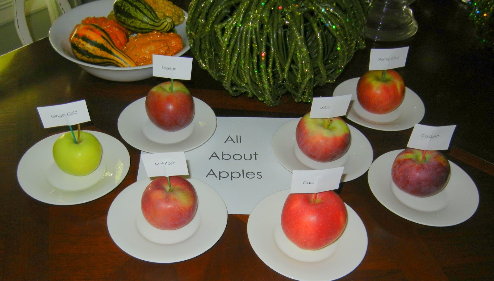 Fall Apple Tasting Activity With Kids, Fall Science & Nature Activities ...